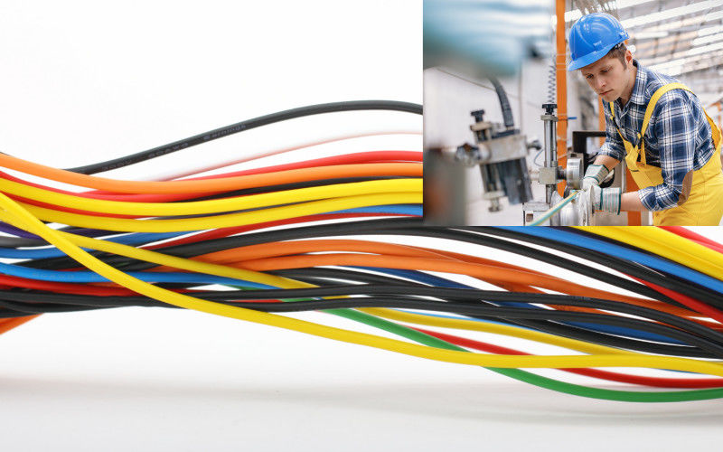 China Shanghai Dingzun Electric&Cable Co.,Ltd company profile