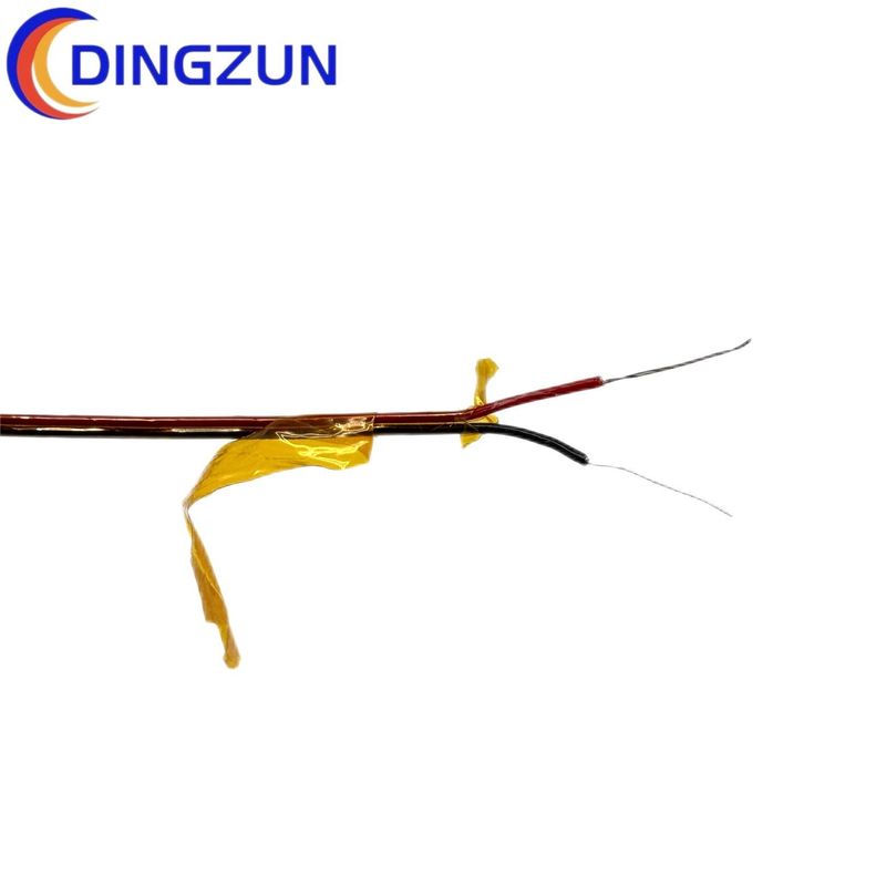 Dingzun Thermocouple Kapton Insulation Polyimide Jacket Type K Wire